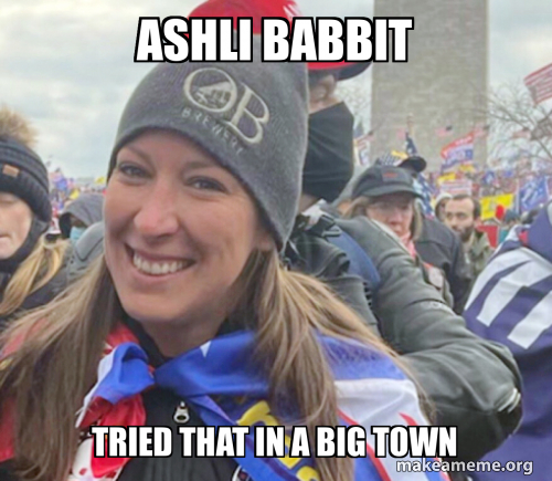 Ashli babbit tried that in a big town Meme Generator