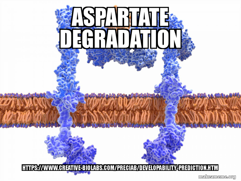 Aspartate Degradation https://www.creative-biolabs.com/preciab ...