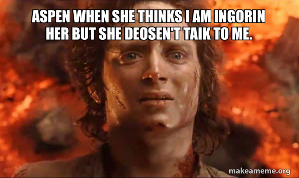 Aspen when she thinks I am ingorin her but she deosen't taik to me ...