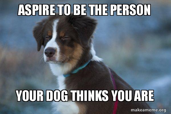 aspire to be the person your dog thinks you are - Unsure Dog Meme Generator