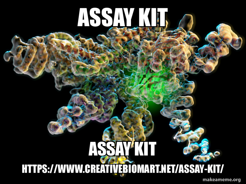 assay kit assay kit https://www.creativebiomart.net/assay-kit/ - assay ...