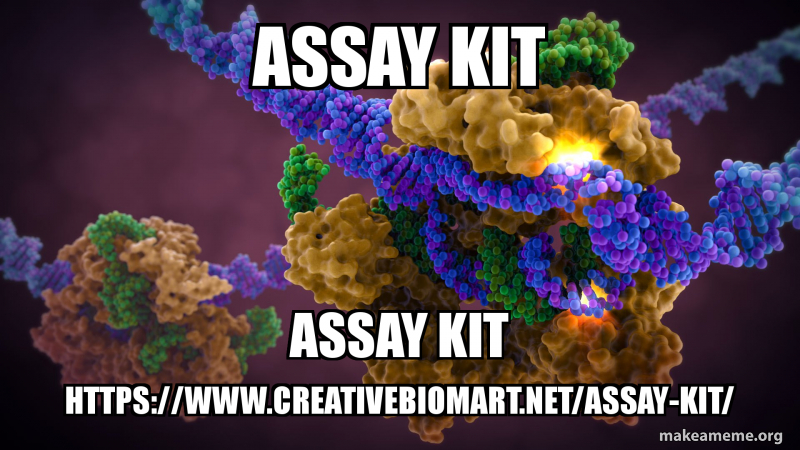 assay kit assay kit https://www.creativebiomart.net/assay-kit/ - assay ...