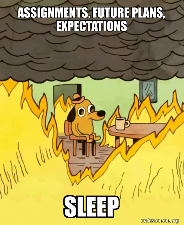 Assignments, future plans, expectations Sleep - This Is Fine Meme Generator