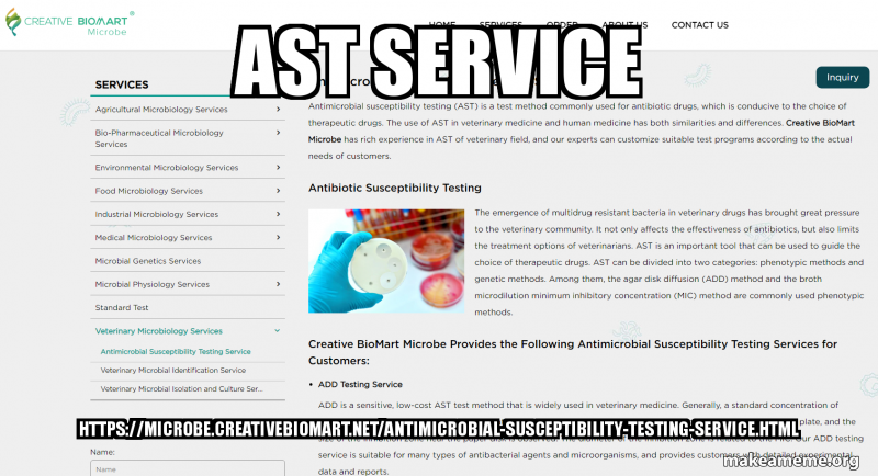 AST Service https://microbe.creativebiomart.net/antimicrobial ...