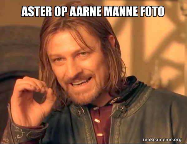 aster op aarne manne foto - One Does Not Simply Meme Generator