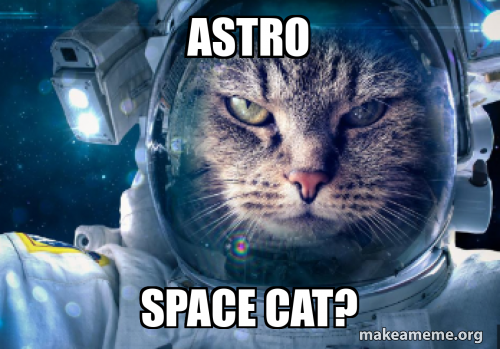 astro space cat? Meme Generator
