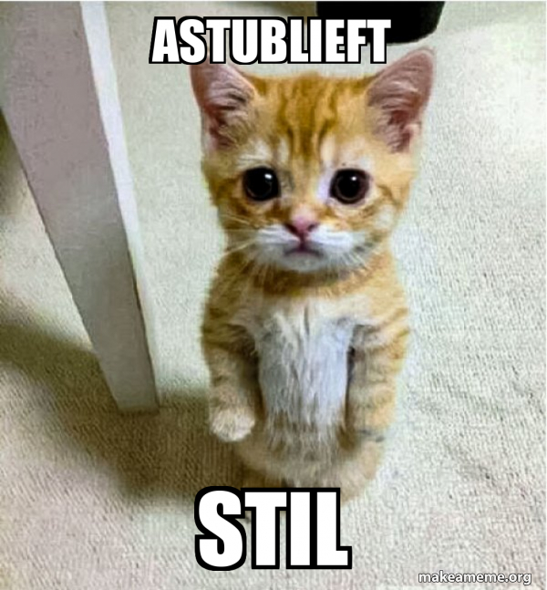 astublieft STIL - Cute Cat Standing | Make a Meme