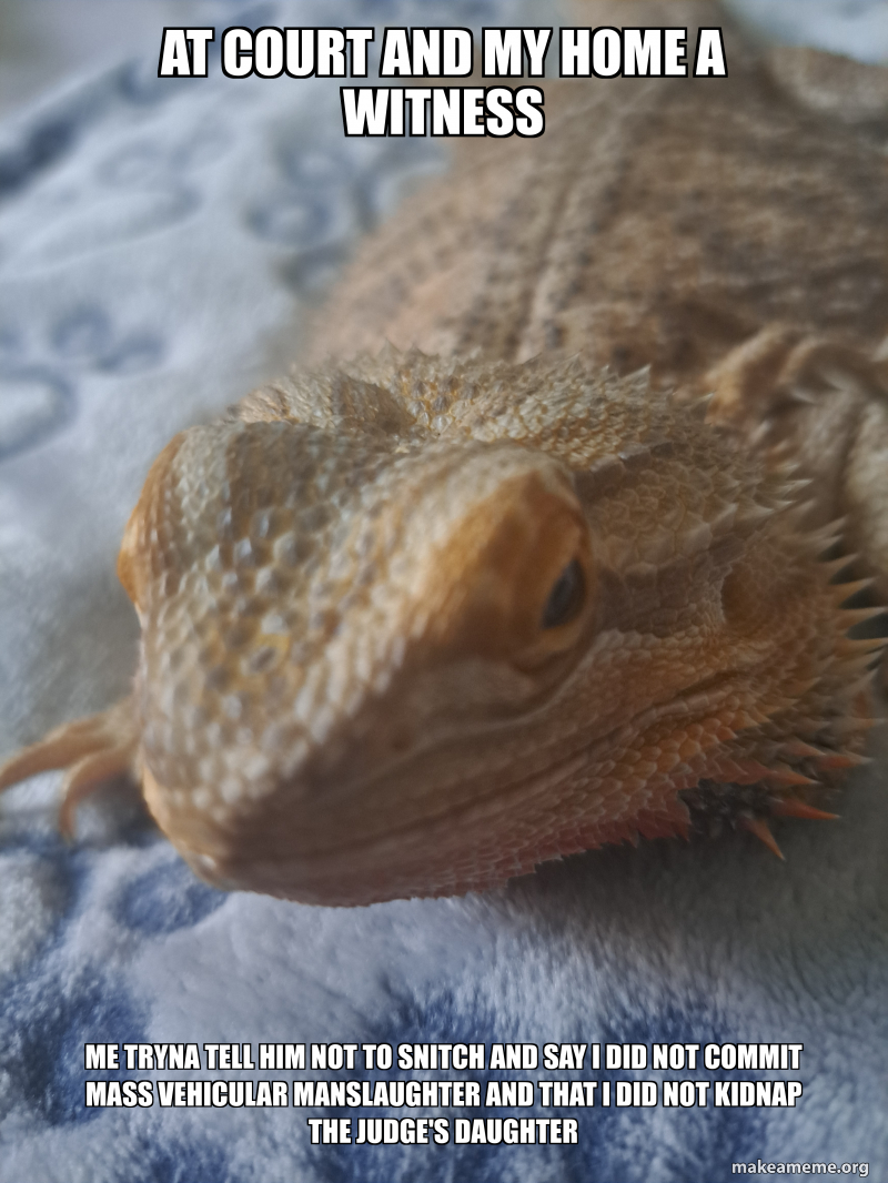 At court and my home a witness Me tryna tell him not to snitch and say ...