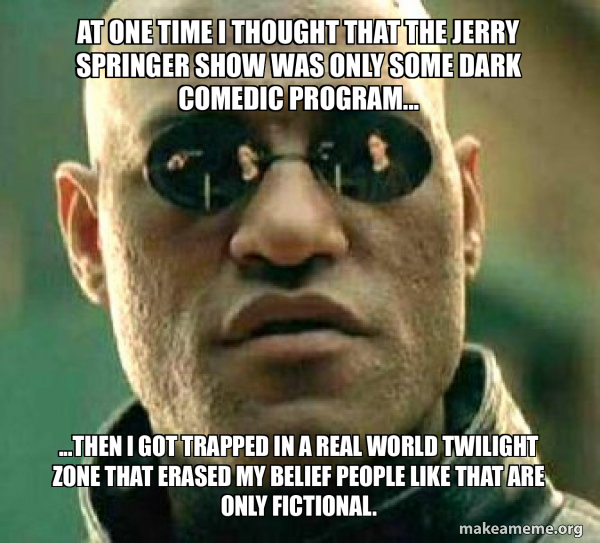 At one time I thought that The Jerry Springer Show was only some dark ...
