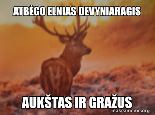 atbėgo elnias devyniaragis aukštas ir gražus Meme Generator