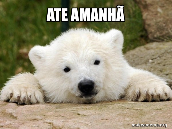 ATE AMANHÃ - Popular Opinion Bear Meme Generator