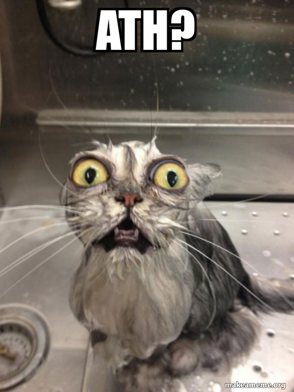 ath? - Cat bath Meme Generator