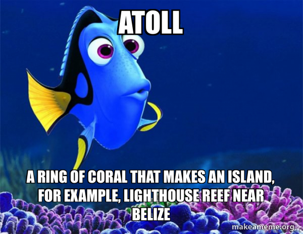 Atoll A ring of coral that makes an island, for example, Lighthouse ...