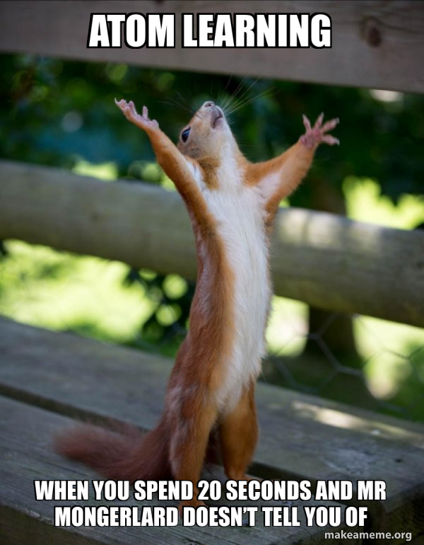 Atom learning When you spend 20 seconds and mr mongerlard doesn’t tell ...