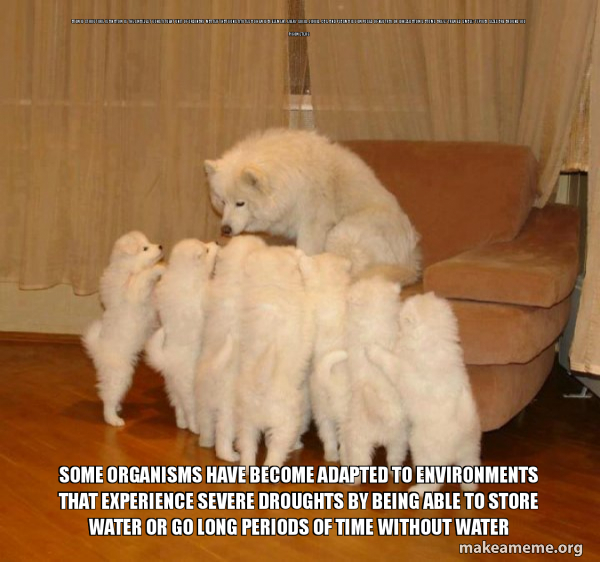 Atomic Theory Memes Atomic Theory And Nuclear Chemistry PowerPoint,