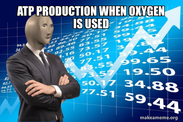 ATP Production when oxygen is used - Stonks Only Go Up Meme Generator