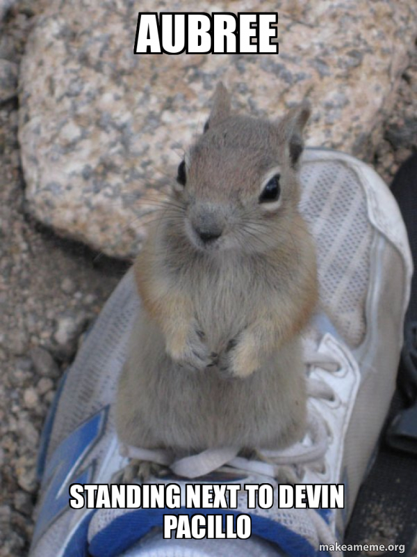 Aubree standing next to DEVIN PACILLO - Standover Squirrel Meme Generator