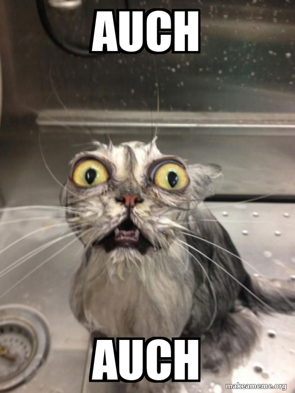 auch auch - Cat bath Meme Generator