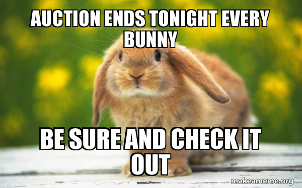 auction ends tonight every bunny be sure and check it out - Regretful ...