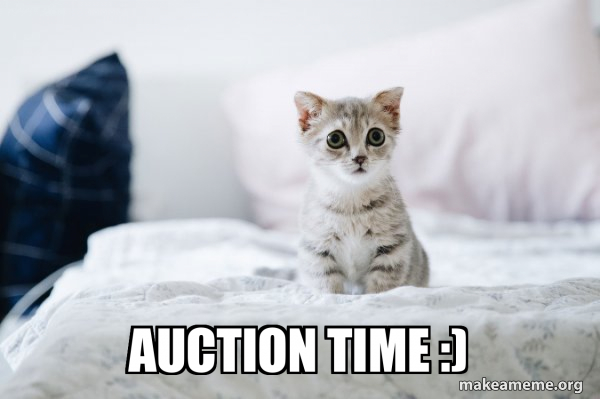Auction time :) - Cute Kitten Meme Generator