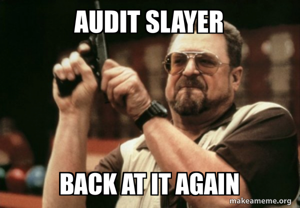 Audit Slayer Back at it again - Am I the only one Meme Generator