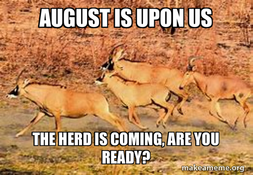 August is upon us The herd is coming, are you ready? Meme Generator