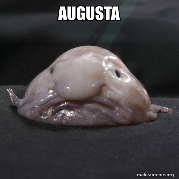 Augusta - Blobfish Meme Generator