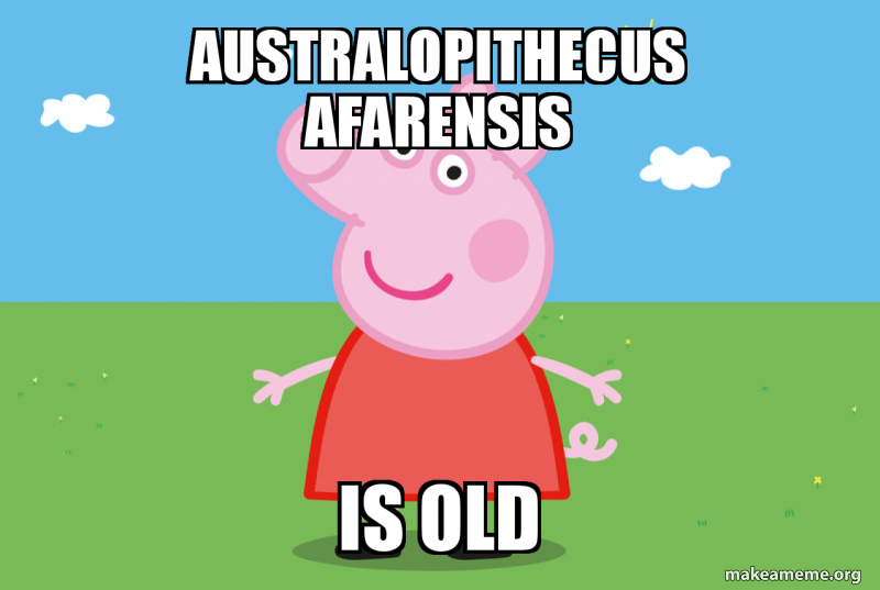 Australopithecus afarensis is Old Meme Generator