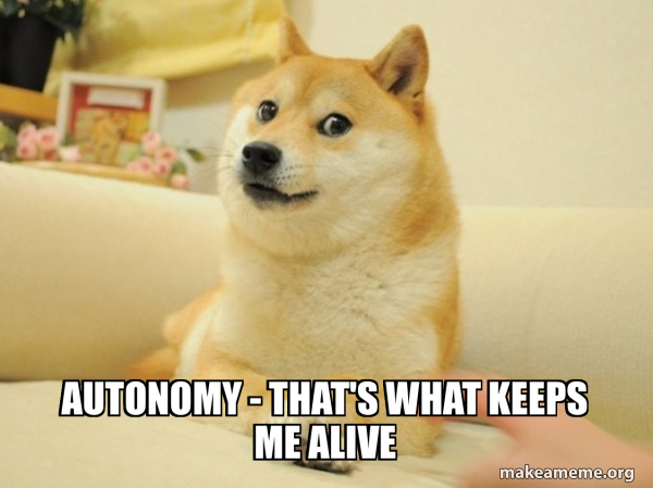 autonomy - that's what keeps me alive - Doge Meme Generator