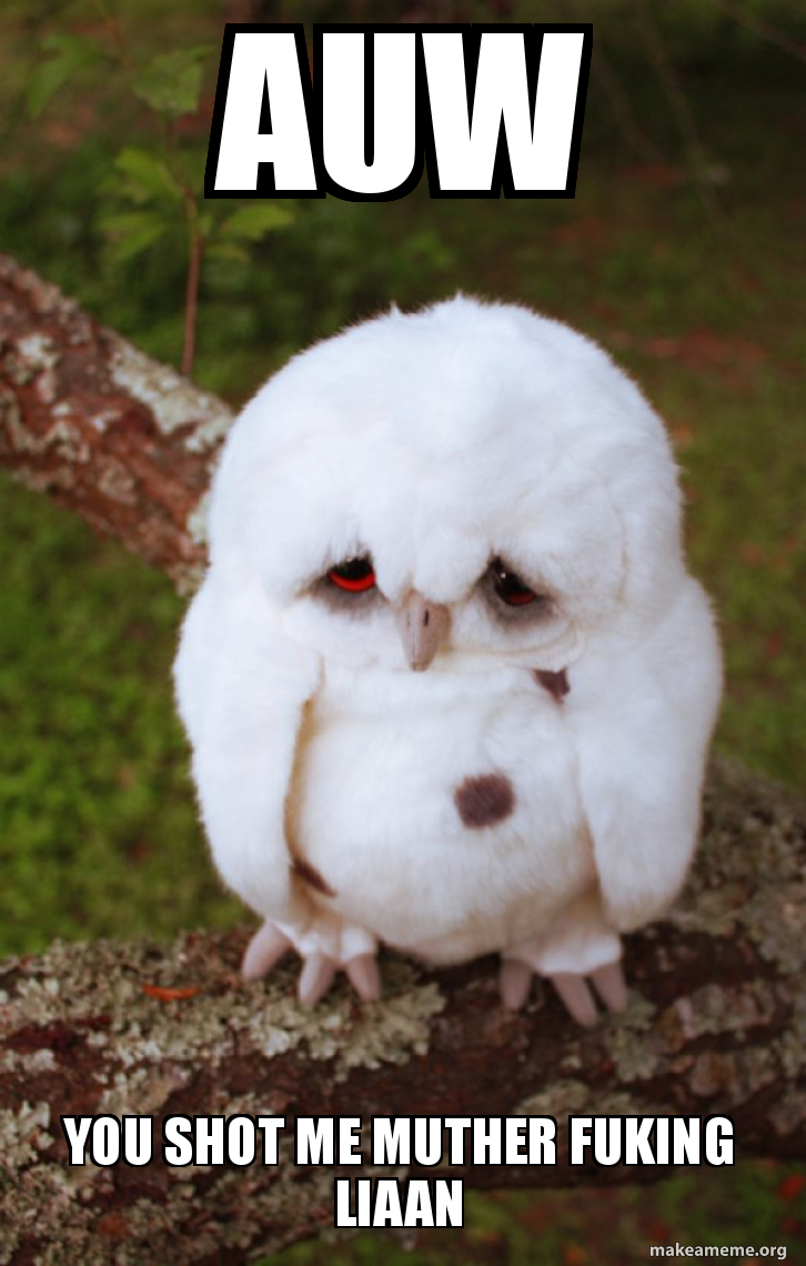 auw you shot me muther fuking liaan - Sad Owl Meme Generator