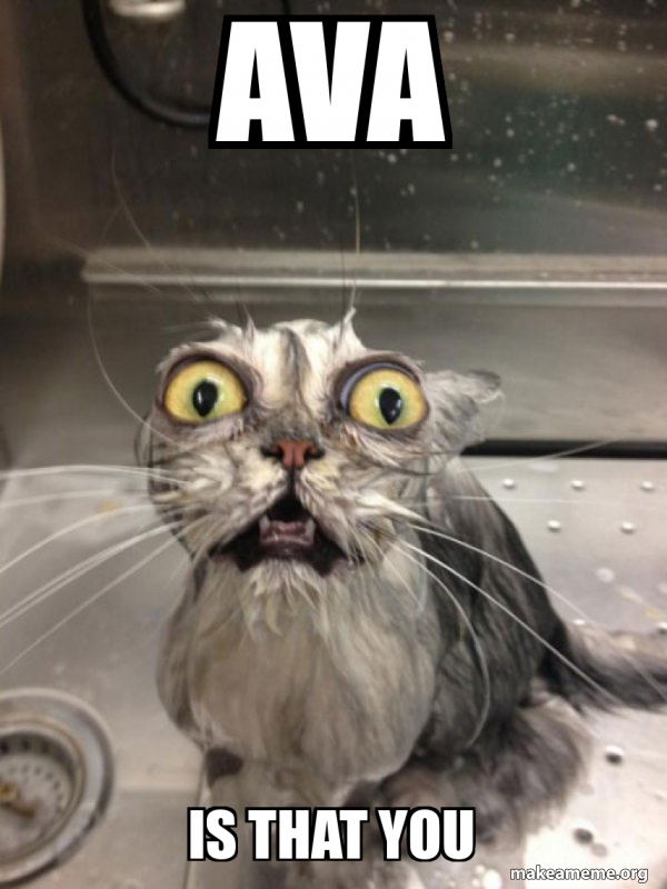 Ava Is that you - Cat bath Meme Generator