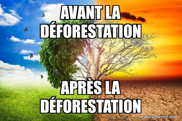 Avant la déforestation Après la déforestation - Climate Change / Global ...