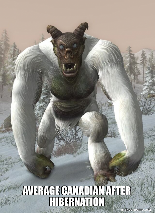 average canadian after hibernation Meme Generator