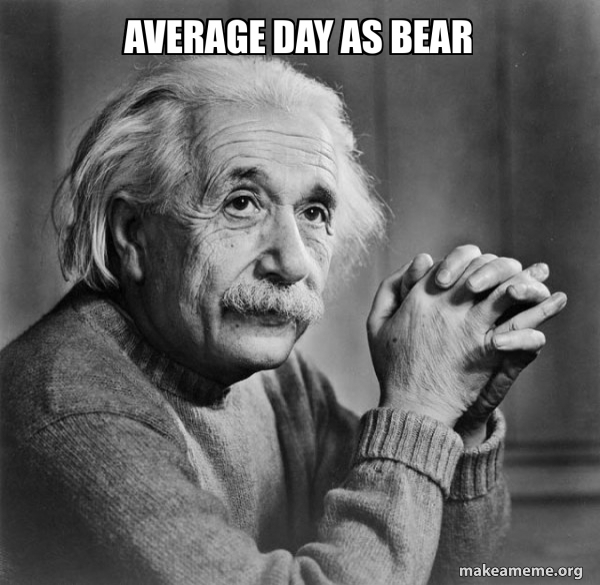 Average Day as Bear - Serious Albert Einstein Meme Generator
