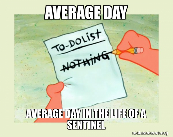 AVERAGE DAY AVERAGE DAY IN THE LIFE OF A SENTINEL - To Do List ...