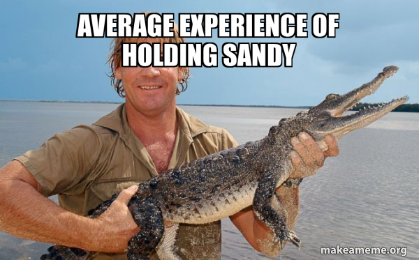 average experience of holding sandy - Steve irwin Meme Generator