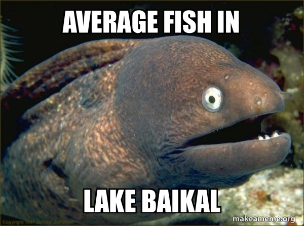 Average fish in lake baikal - Bad Joke Eel Meme Generator