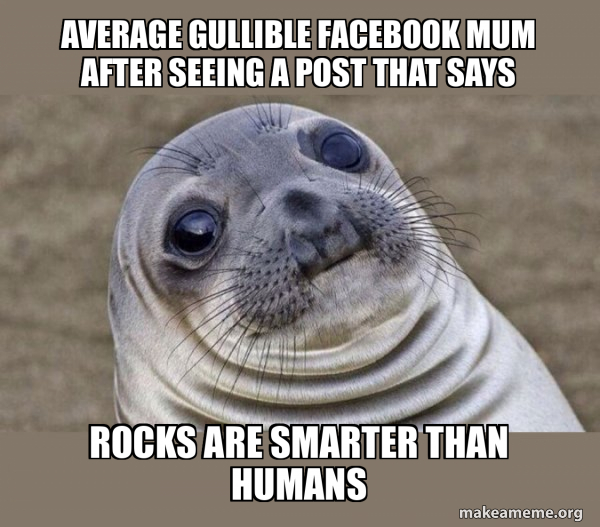 average gullible facebook mum after seeing a post that says ROCKS ARE ...