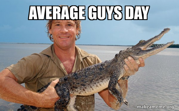 Average guys day - Steve irwin Meme Generator
