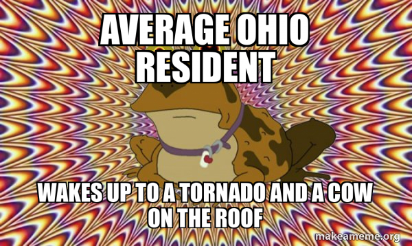 Average Ohio resident Wakes up to a tornado and a cow on the roof ...