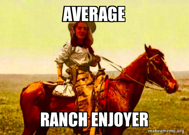 Average Ranch enjoyer Meme Generator