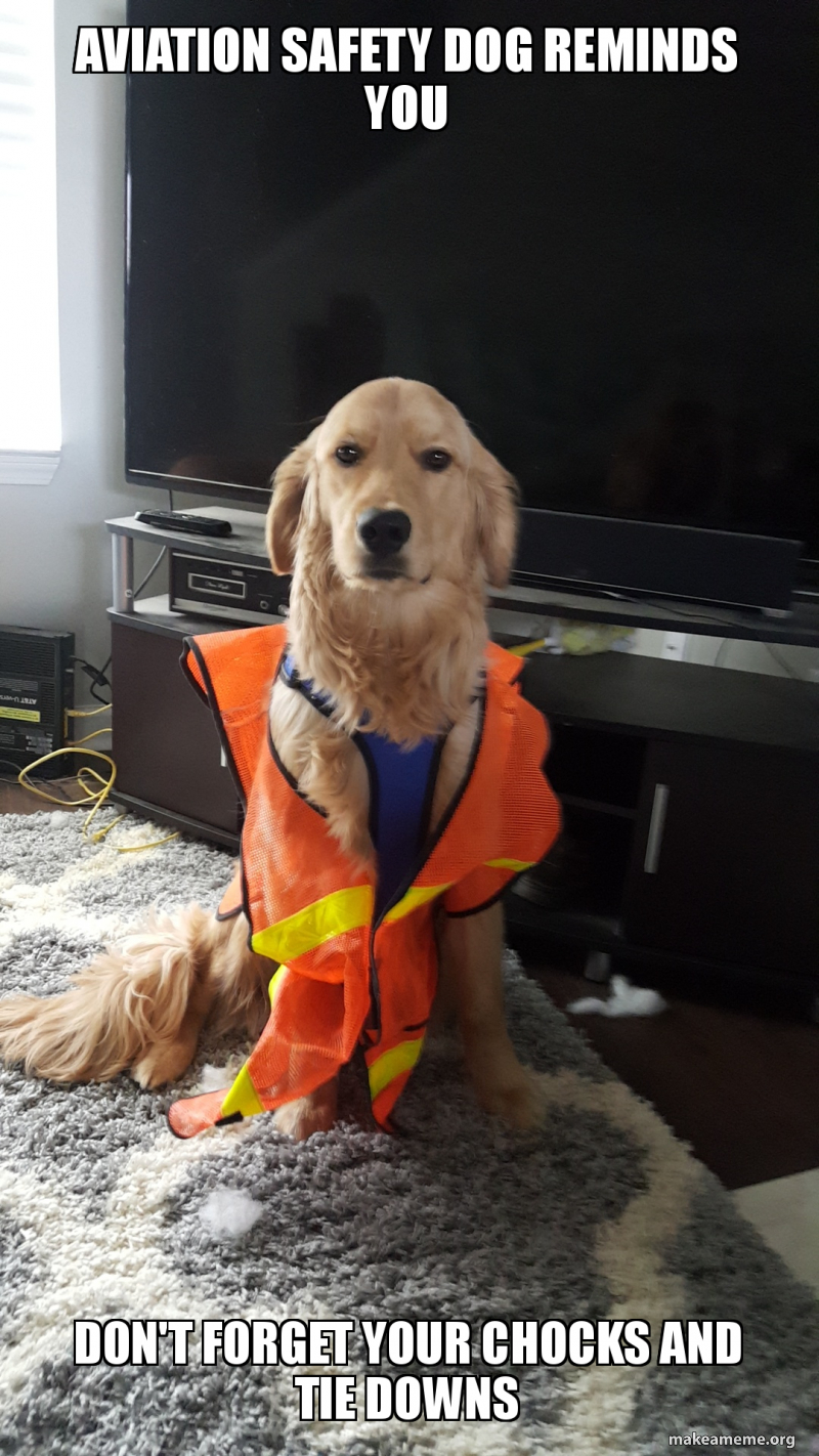 Aviation Safety dog reminds you don't forget your chocks and tie downs ...