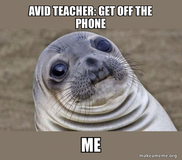 avid teacher: get off the phone me - Squeamish Seal Meme Generator