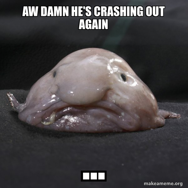 Aw damn he's crashing out again ... - Blobfish Meme Generator