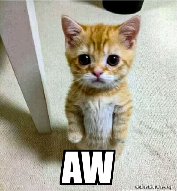 aw - Cute Cat Standing Meme Generator