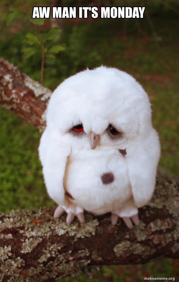 AW Man it's Monday - Sad Owl Meme Generator