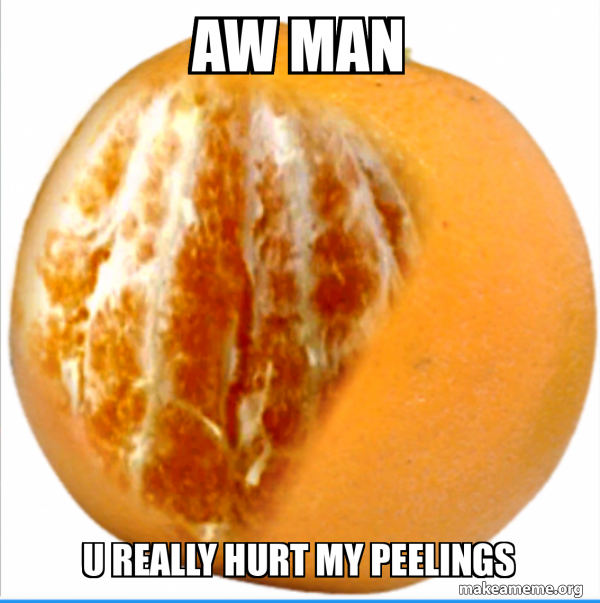 AW MAN U REALLY HURT MY PEELINGS Meme Generator