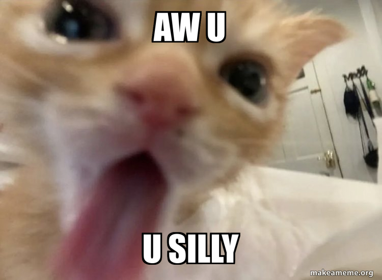 aw u u silly Meme Generator
