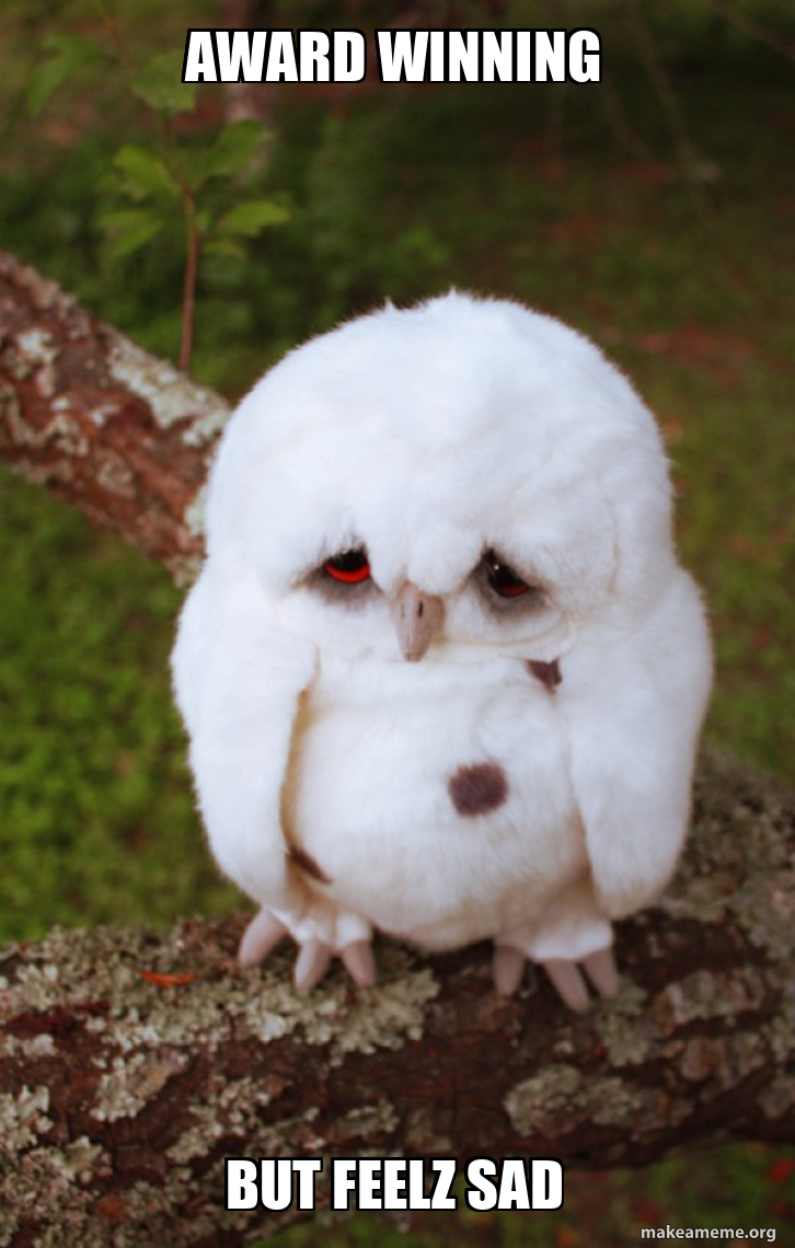 Award Winning But feelz sad - Sad Owl Meme Generator