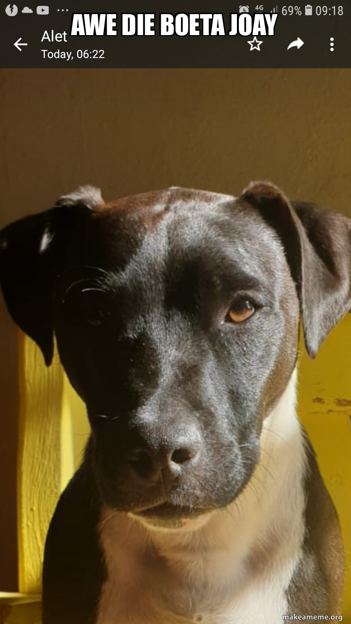 Awe die boeta JOay Meme Generator